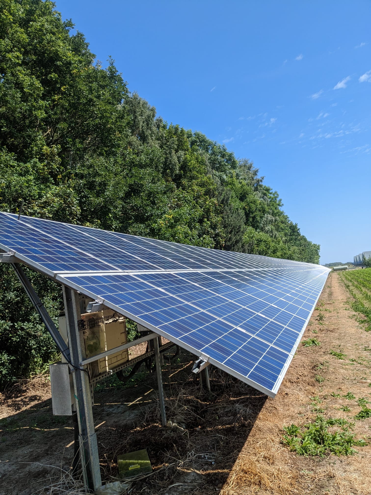 Solar Panel Cleaning – Paul Dunham Window Cleaning Services Ltd